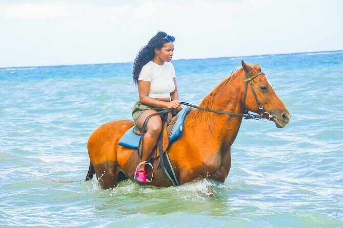 Horseback Riding/Swimming and Dunn's River from Ocho Rios - Transportation and Logistics
