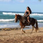 Horseback Riding through Secluded Beaches and Tropical Forests - Authentic Reviews: What Travelers Say