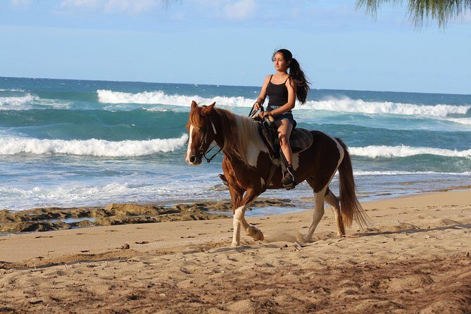 Horseback Riding through Secluded Beaches and Tropical Forests - Authentic Reviews: What Travelers Say