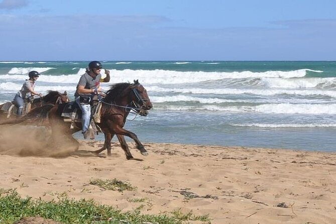 Horseback Riding to Maimon River from Punta Cana - Final Thoughts: Is It Worth It?