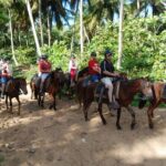 Horseback Riding Tour along the Beaches of Punta Cana - What Travelers Say