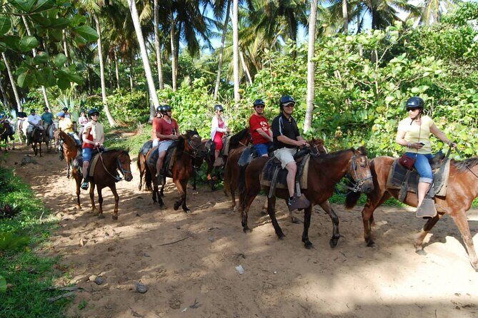 Horseback Riding Tour along the Beaches of Punta Cana - What Travelers Say