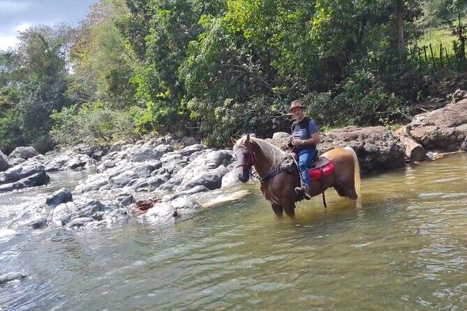 Horseback Riding tour near Santo Domingo with pick up and dropoff - Who Should Consider This Tour?