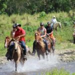 Horseback Riding Tour of Punta Cana - Who Will Love This Tour?