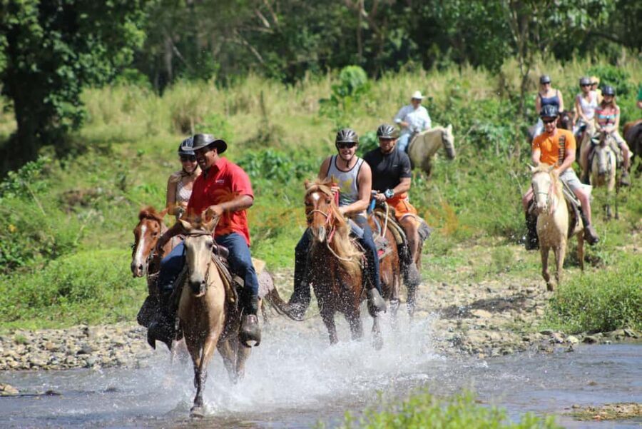Horseback Riding Tour of Punta Cana - Who Will Love This Tour?
