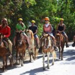 Horseback Riding Tour on the Beaches of Punta Cana - Authentic Experiences and Real Feedback