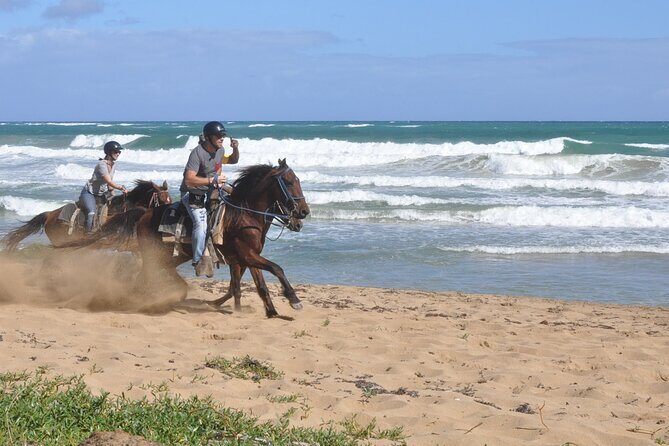 Horseback Riding Tour on the Beaches of Punta Cana - The Ride Through Countryside and Beach