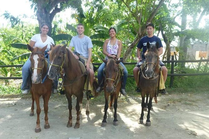 Horseback riding tours from amber cove & Taino bay port silver - What the Reviews Say
