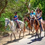 Horseriding in Macao Punta Cana - Who Will Enjoy This Tour?