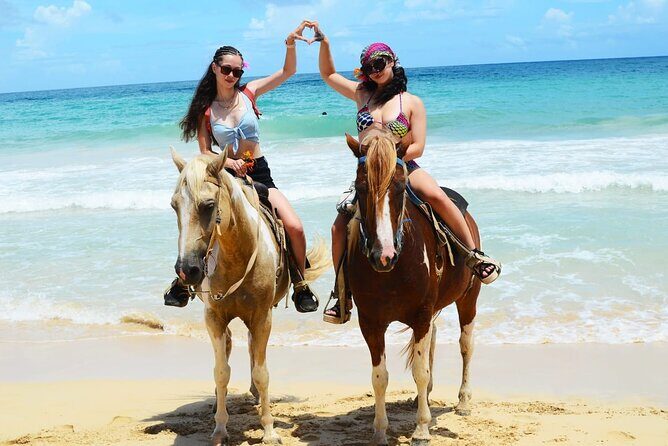 Horses, Buggy, and plantation in Chocaci Ranch - Who Will Love This Tour?
