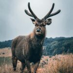 Horton Plains National Park Entry eTicket - Who Will Love This Tour?