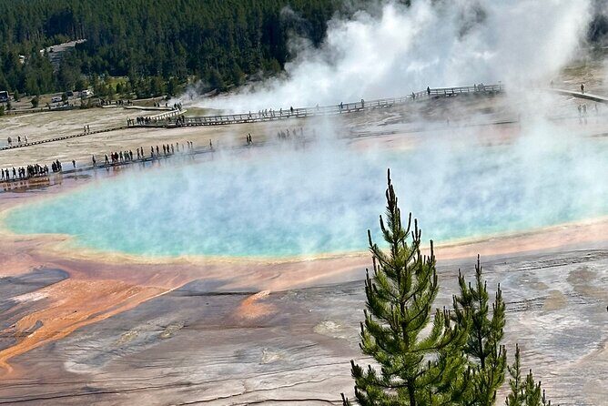 Hot Springs and Geysers Private Tour - The Value for Money