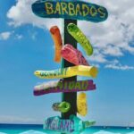 Hotel Beach Day at Savvy with Shuttle Transfer - The Itinerary in Detail: Exploring Carlisle Bay and Beyond