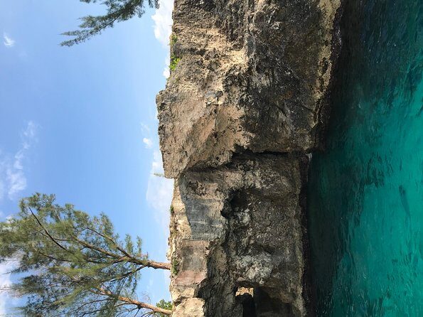 Hotel transfer from negril to Montego Bay - Why Choose This Transfer Service?