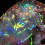 Houston: Museum of Natural Science Entry & Digital Tour - The Experience in Practice