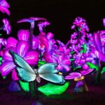 Houston: Radiant Nature Winter Light Show Tickets - Interactive Zone: Play and Capture