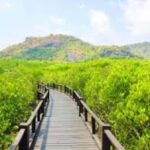 Hua Hin: HuaHin Sightseeing Tour - Exploring the Itinerary in Detail
