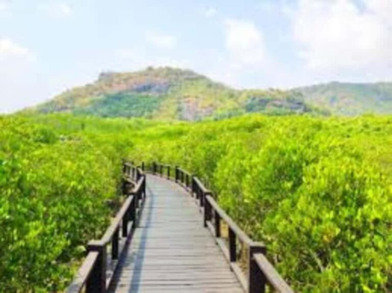 Hua Hin: HuaHin Sightseeing Tour - Exploring the Itinerary in Detail