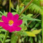 HUA HIN to River Kwai&Jungle Raft overnight stay(for2or3pax) - What Makes This Tour Stand Out