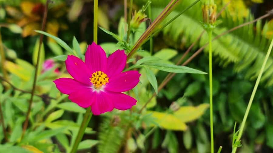 HUA HIN to River Kwai&Jungle Raft overnight stay(for2or3pax) - What Makes This Tour Stand Out