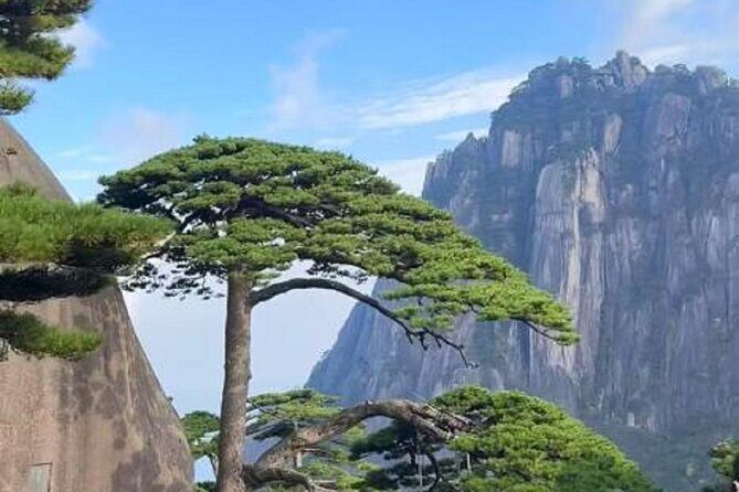 Huangshan Day Tour - The Scenic Highlights: What the Itinerary Offers