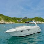 Huatulco: Sunset Yacht Cruise with drinks - Who Should Consider This Tour?