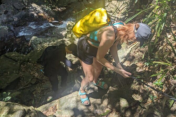 Hue to Bach Ma National Park: Trekking & Nature Adventure - What Travelers Say and Why It Matters