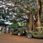 Hue To Hoi An By Jeep Via Hai Van Pass - The Itinerary in Detail