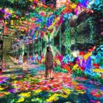 Huis Ten Bosch Package 1 Day Pass, Hotel and Train Transport - Value and Who It’s For