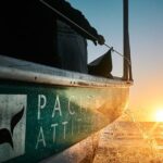 Humpback whale watching and marine life in Moorea - FAQ