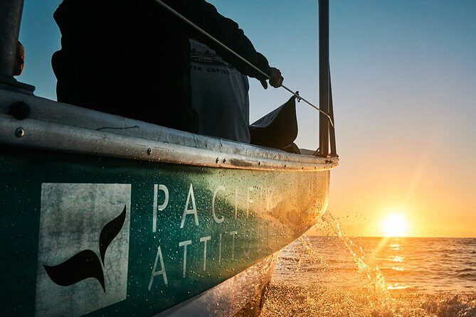 Humpback whale watching and marine life in Moorea - FAQ