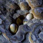 Hung Thoong Exploration 3 days 2 nights - The Sum Up