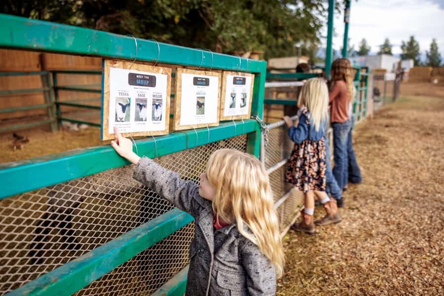 Hurricane, Utah: Guided Farm Tour with Animal Feeding - Why This Farm Tour Offers True Value