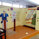 Hyogo: Somen Culture & Ibonoito Museum Tasting Tour - FAQs