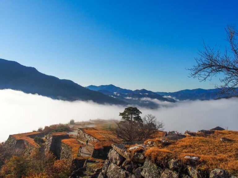 Hyogo: Takeda Castle Castle in Sky Mountain Hiking Tour - Who Will Appreciate This Tour?
