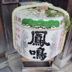 Hyogo: Tamba-Sasayama Sake Tasting Tour with Tamba Toji - Unpacking the Experience: A Step-by-Step Review
