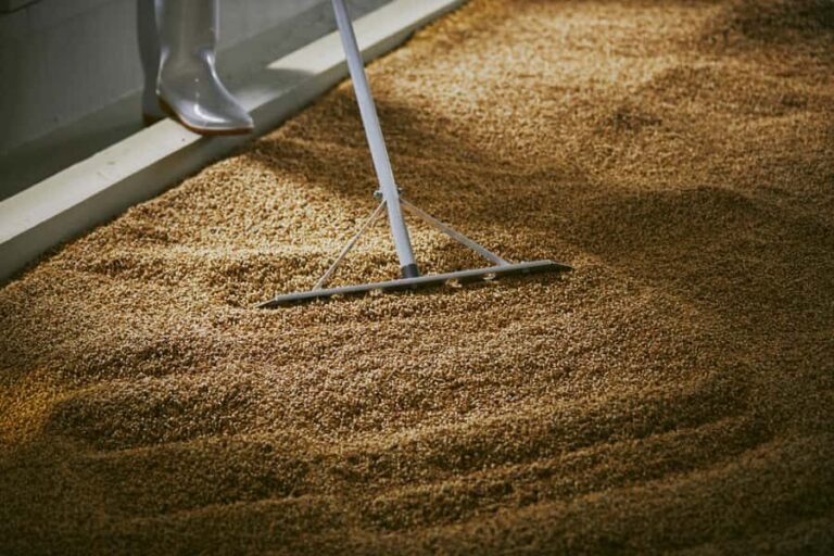 Ibaraki: Kiuchi Brewery Sake or Whisky Tour and Tasting - What You Can Expect During the Tour