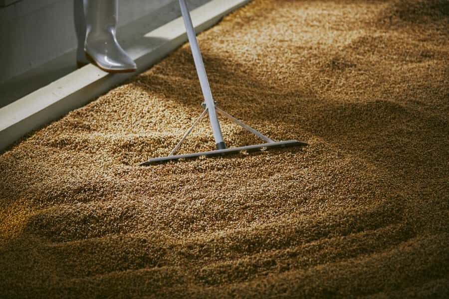 Ibaraki: Kiuchi Brewery Sake or Whisky Tour and Tasting - What You Can Expect During the Tour