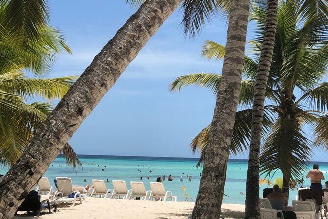 Iberostar Grand Bavaro - Round Trip Shuttle - Punta Cana Airport - The Vehicle and Comfort Level