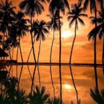 Iberostar Selection Bavaro - Round Trip Shuttle - Punta Cana Airport - The Real Experience: What Travelers Say