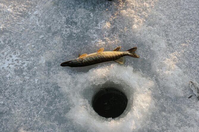 Ice Fishing Festival from Seoul - Who Should Consider This Tour?