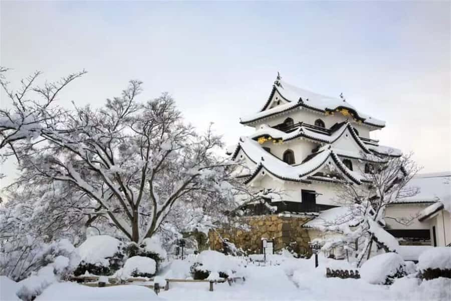 Iga: Lake Biwa Architecture & Miho Museum Day Trip Osaka - Practical Details & What Makes This Tour Stand Out