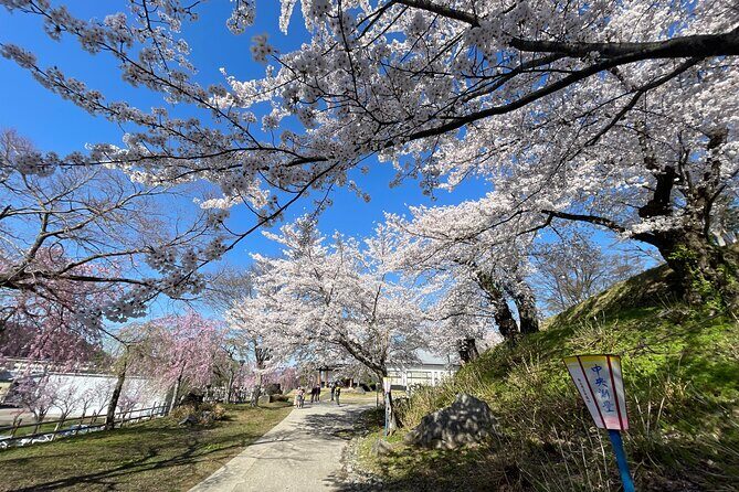 Iiyama Castle Cherry Blossom and Nozawa Onsen Morning Tour - The Value of the Experience