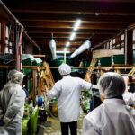 Iiyama Temple and Sake Brewery Day Trip from Nagano - The Tranquil Daishoji Temple and Shojin Ryori Lunch