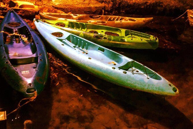 Illuminated Night Kayaking at the Elysian Resort - Who Will Love This Tour?