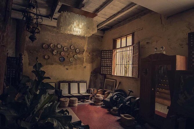 Iloilo City Tour (Garin Farm, Molo Mansion/Church, Vanishing Mansion) - Price and Value Analysis