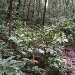 Immerse Yourself In The Natural Beauty of Vermont Nature Trails - Who Will Love This Tour?