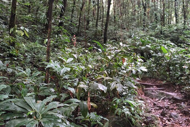 Immerse Yourself In The Natural Beauty of Vermont Nature Trails - Who Will Love This Tour?