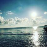 Immersive dolphin and whale watching mission on a secret boat  Trincomalee - Frequently Asked Questions