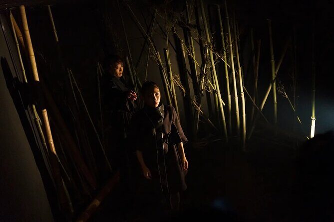 Immersive Experience Anemoia Tokyo Ticket - The Practicalities: What You Need to Know